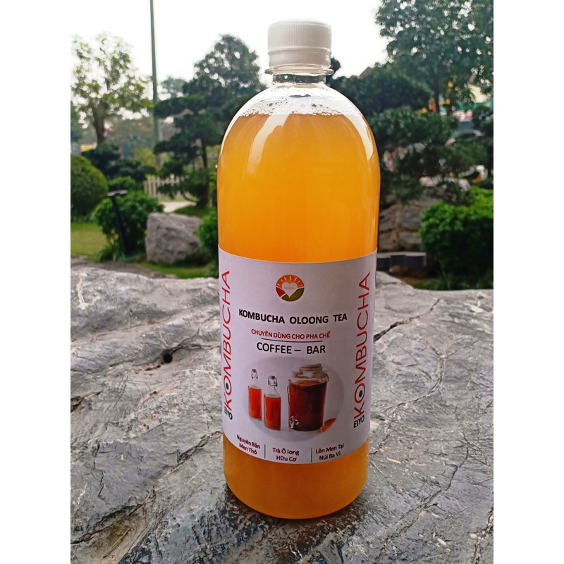 KOMBUCHA OLOONG TEA - HỮU CƠ/CHAI NHỰA - RẺ - TIỆN DỤNG (Nguyên Chất ...
