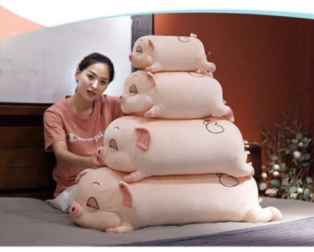Gấu bông heo mắt hí – heo lim dim – heo bông phê cần – Đồ chơi trẻ em