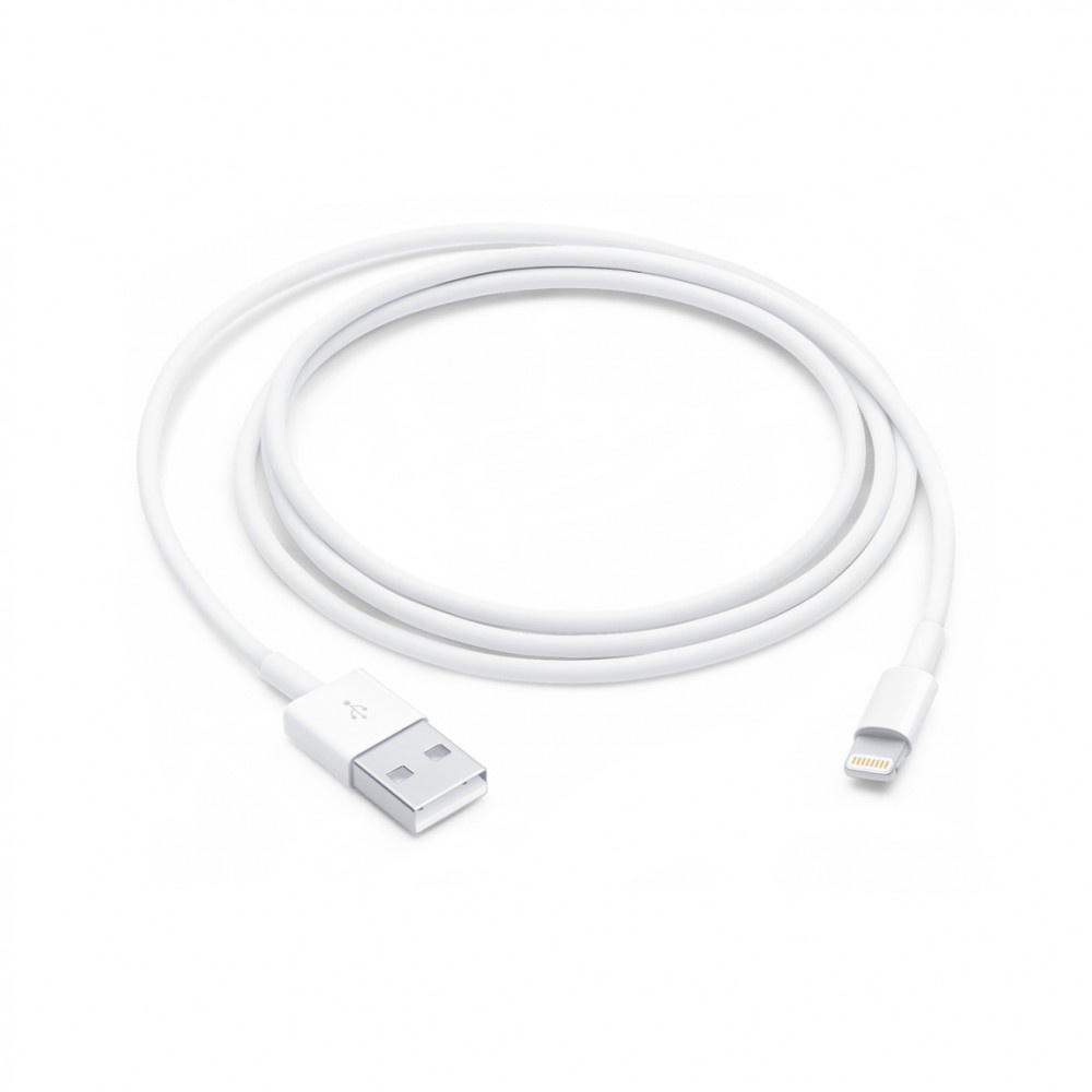 Apple USB-A to Lightning Cable (1m) | Shopee Việt Nam