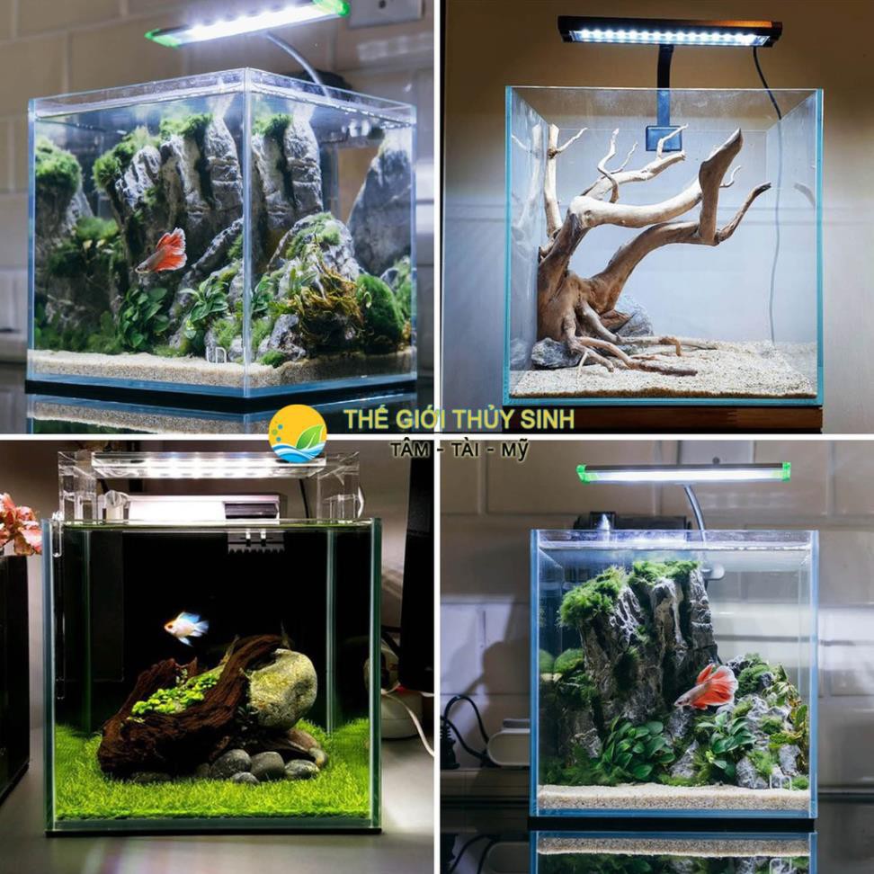 Bể Thủy Sinh Mini Cubic Full Phụ Kiện + Layout (Đèn Led+lọc+đầy đủ phụ ...