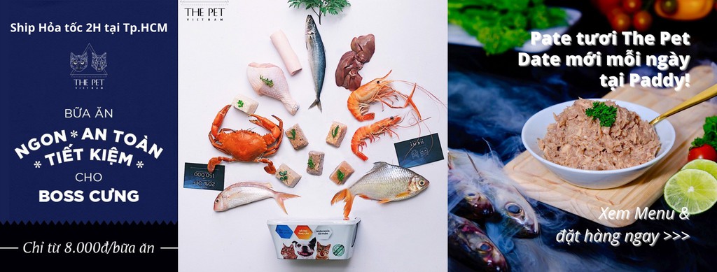 Paddy Pet Shop, Cửa hàng trực tuyến | Shopee Việt Nam