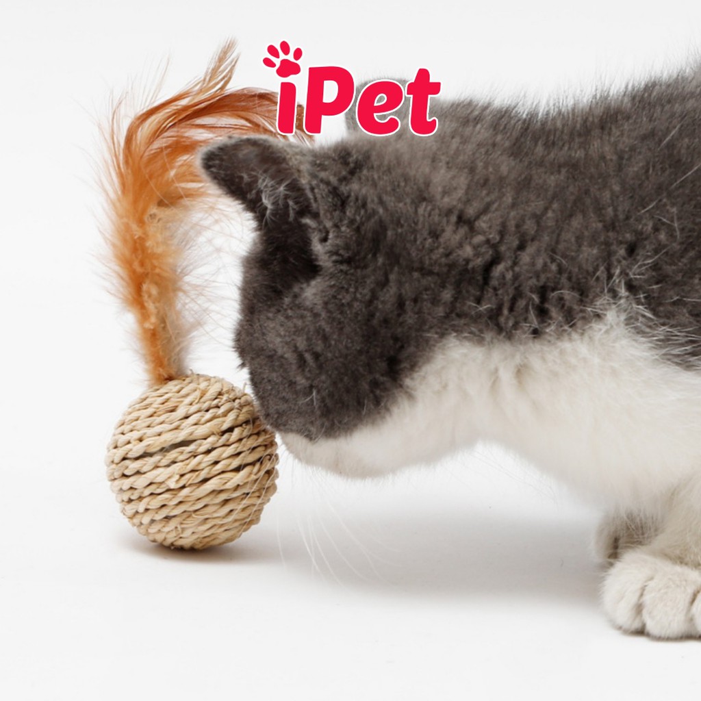 Bóng Đồ Chơi Dây Thừng Có Lông Vũ Cho Thú Cưng Chó Mèo - iPet Shop | Shopee Việt Nam