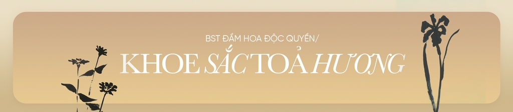 DEAR JOSÉ - Cửa Hàng Online Chính Hãng | Shopee Việt Nam