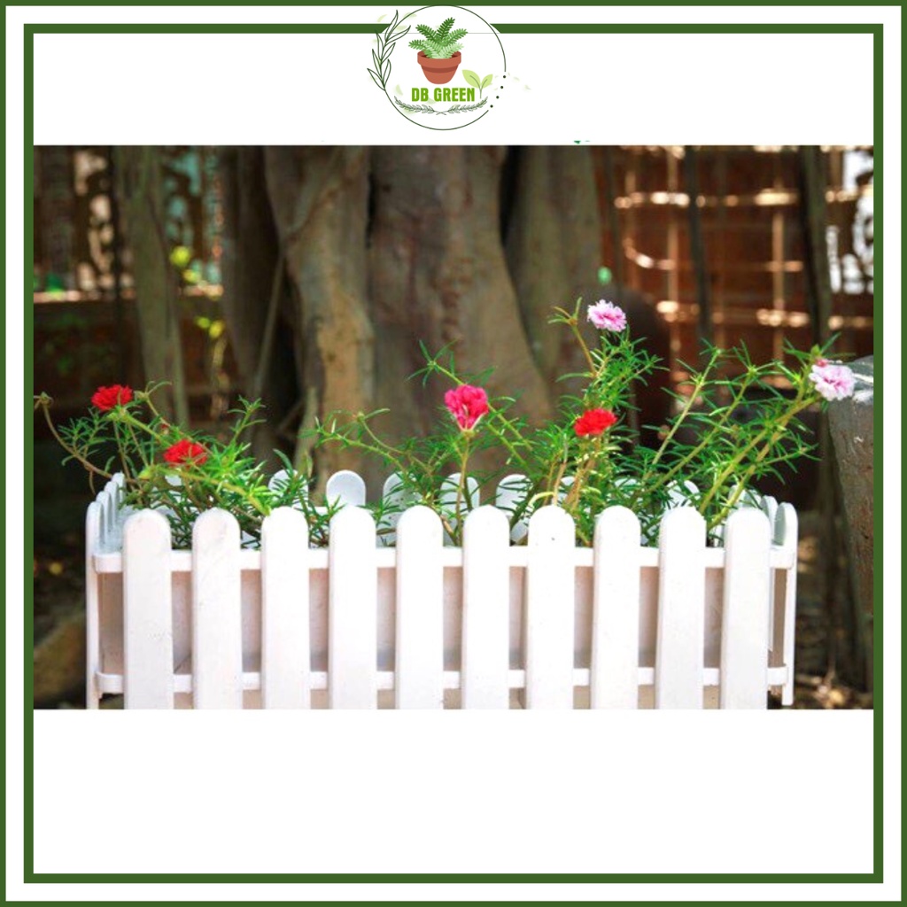 Mua Chậu Hàng Rào Nhựa Trồng Hoa, Hàng Rào Nhựa Trồng Cây Ban Công Siêu ...