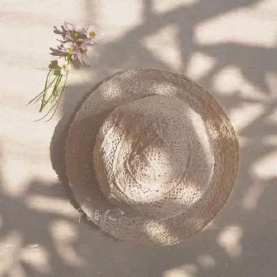 sangshen.vn, Cửa hàng trực tuyến | Shopee Việt Nam