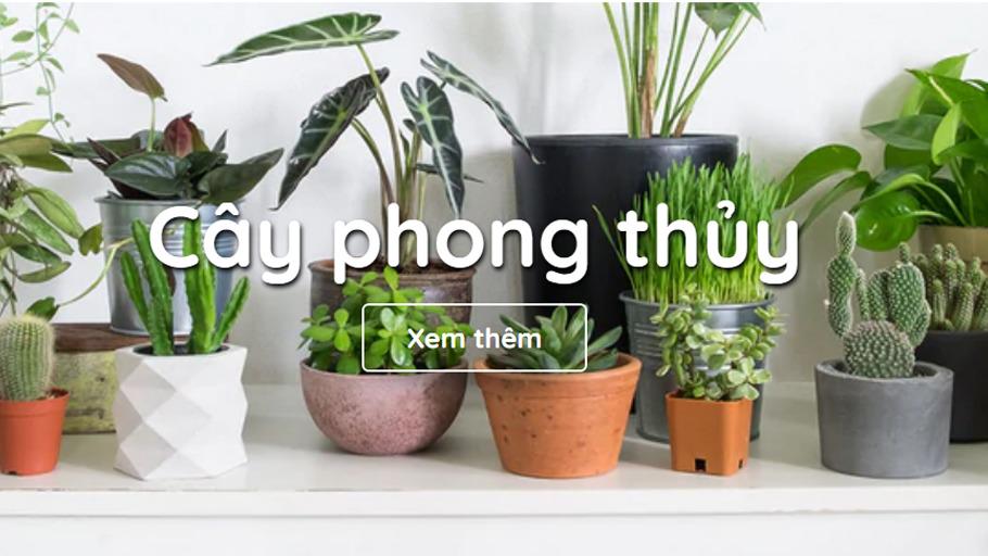 MIN GARDERN_CÂY XANH VĂN PHÒNG, Cửa hàng trực tuyến | Shopee Việt Nam