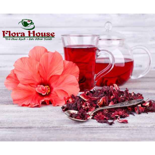 Red Atiso Flower | Best Flower Site