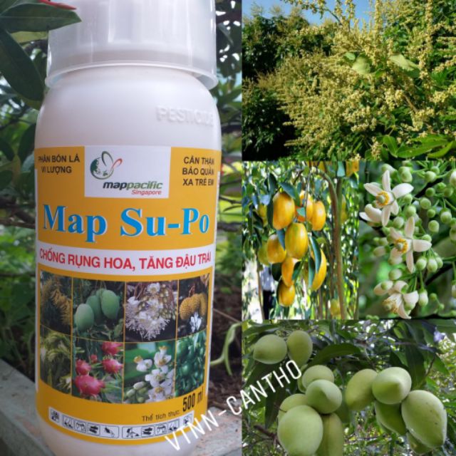 Phân bón lá Map Su-Po Tăng thụ phấn chống rụng hoa và trái non | Shopee ...