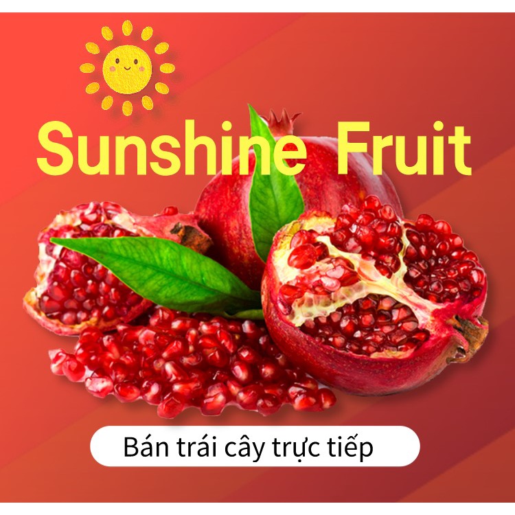 Sunshine Fruit, Cửa hàng trực tuyến | Shopee Việt Nam