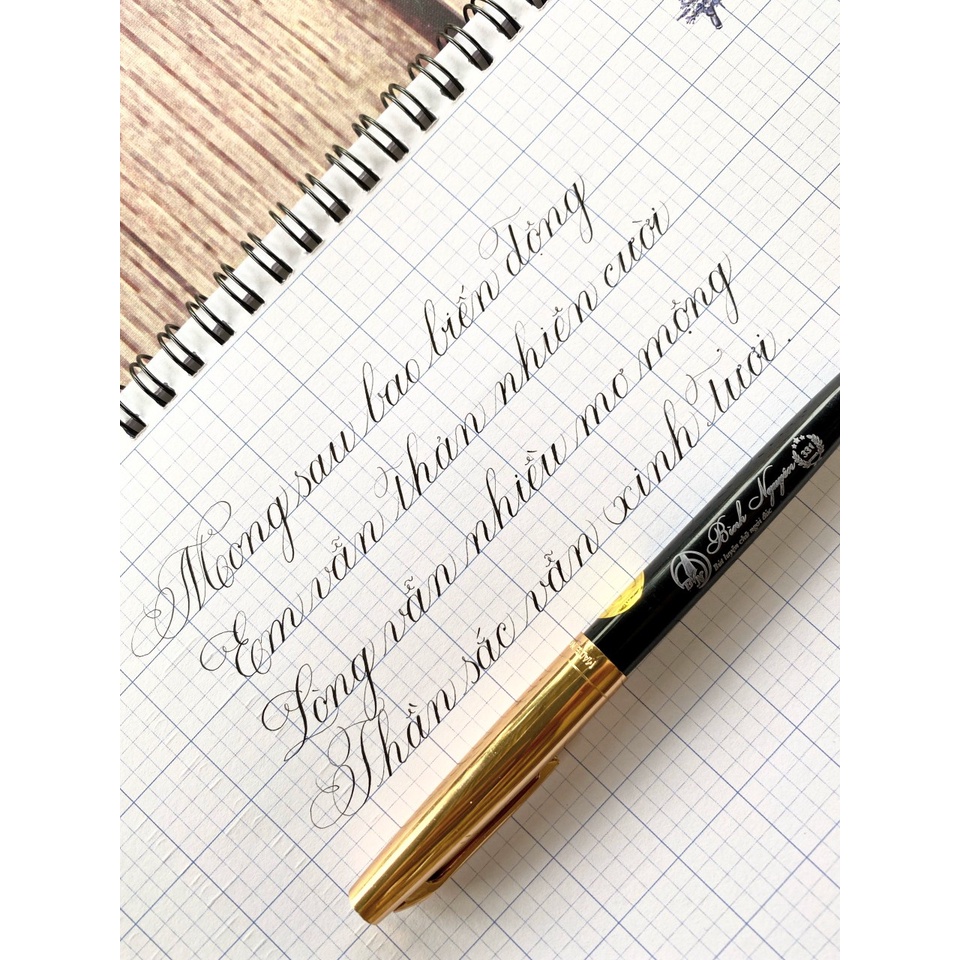 Mua Bút máy luyện chữ Hero 331 bút luyện chữ đẹp nét thanh đậm ngòi ...