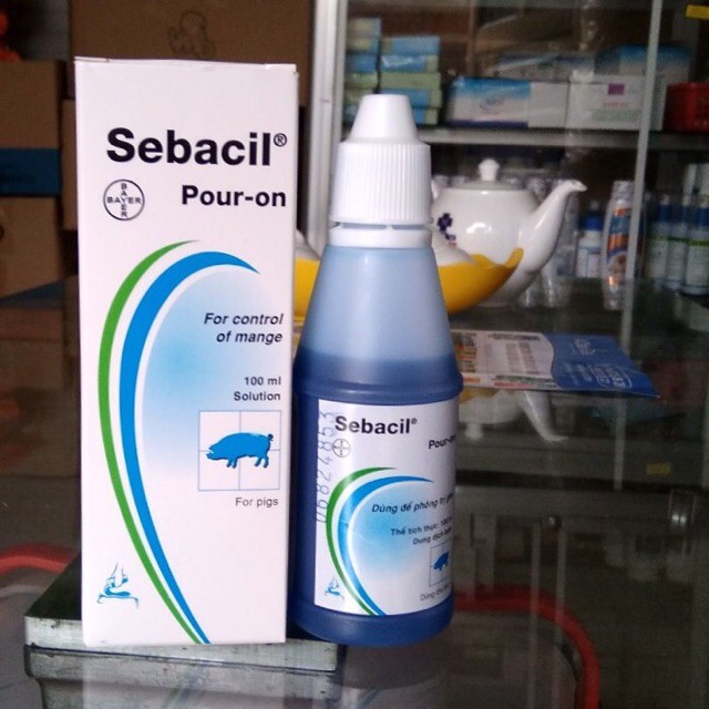 Sebacil giá tốt Tháng 10,2022|BigGo Việt Nam