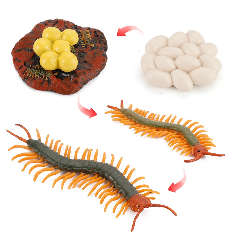 Manufacturers WholesaleSimulation of wild animals centipede growth ...