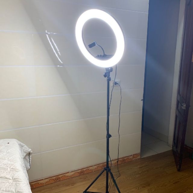 Sife giá rẻ Tháng 9,2024|BigGo Việt Nam