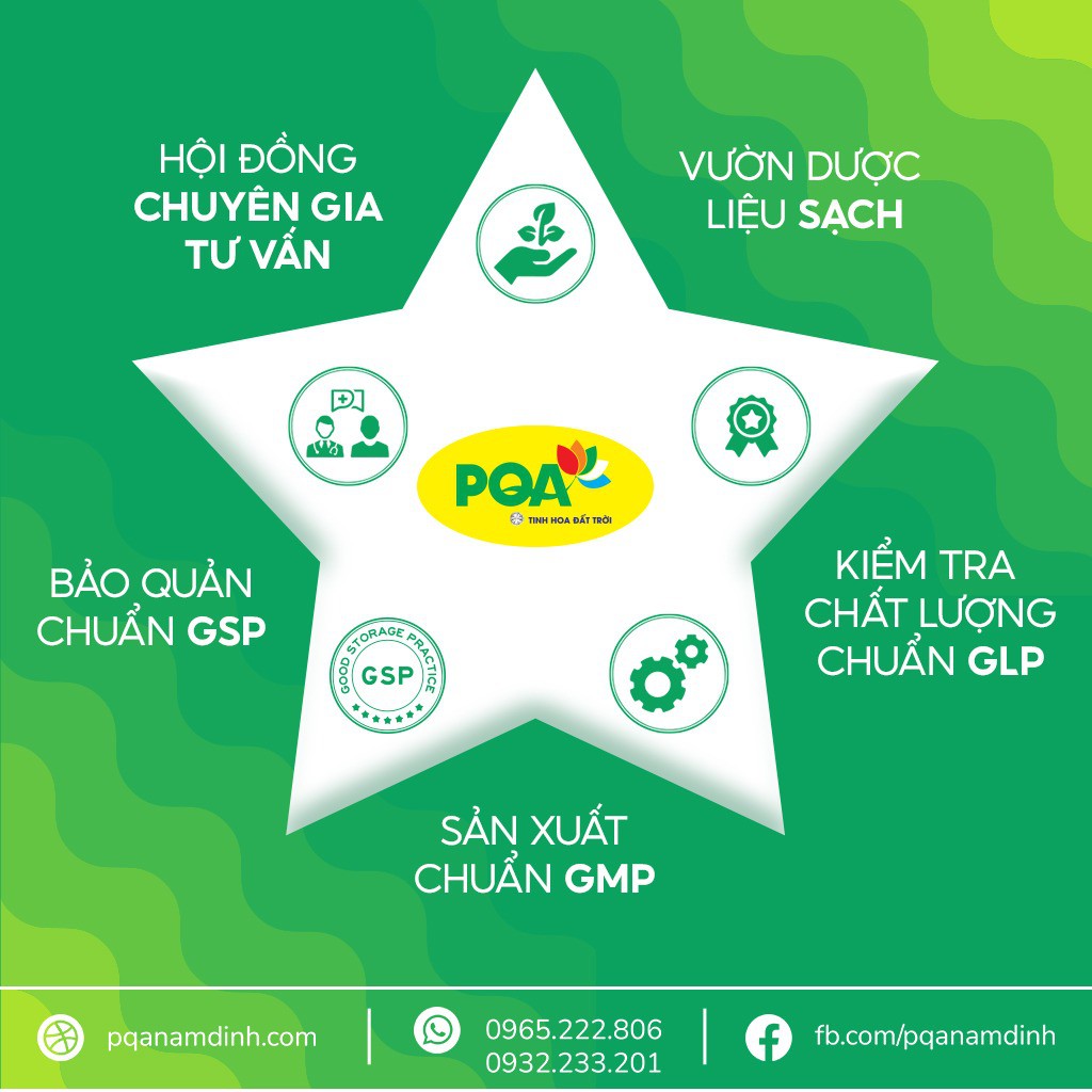 Dược Phẩm PQA Official Store - Shop online | Shopee Việt Nam