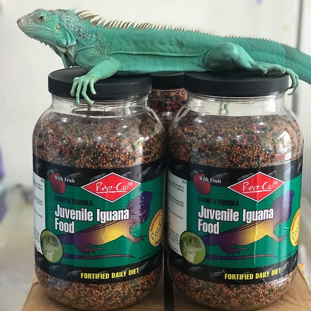 Rep-Cal thức ăn viên cho iguana baby | Shopee Việt Nam