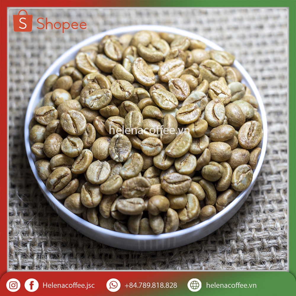Cà phê Vietnam Robusta Fully Washed Processing Coffee Bean – Grade 1 ...
