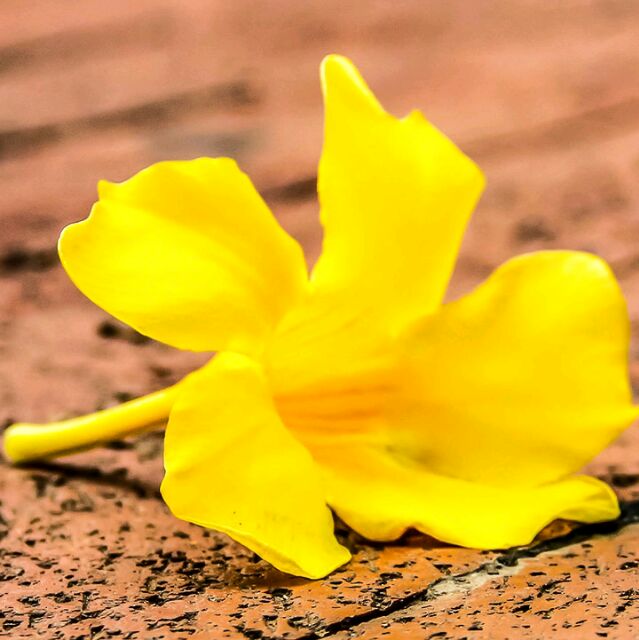 hatag, Cửa hàng trực tuyến | Shopee Việt Nam