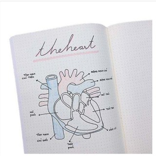 Vở Crabit Dotted Notebook - Vở kẻ chấm bi (Giấy ruột Dot) - Vàng chấm ...