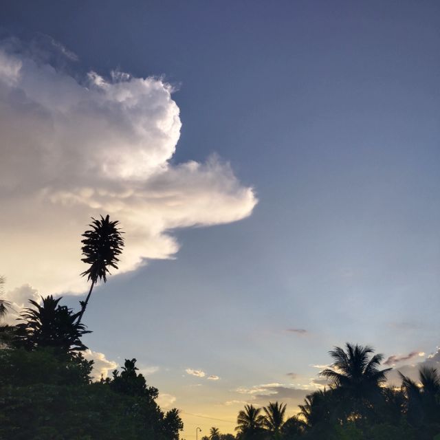 trungan2000, Cửa hàng trực tuyến | Shopee Việt Nam