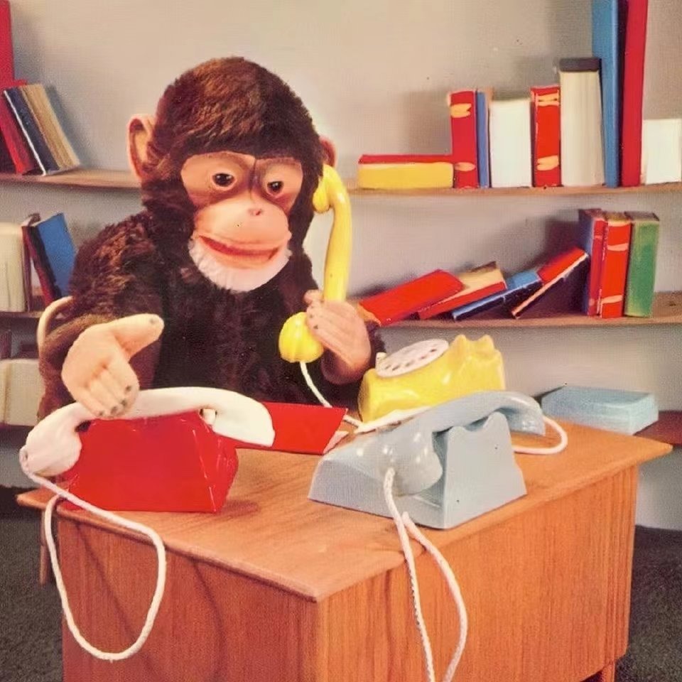 GiGi Bom Store, Cửa hàng trực tuyến | Shopee Việt Nam