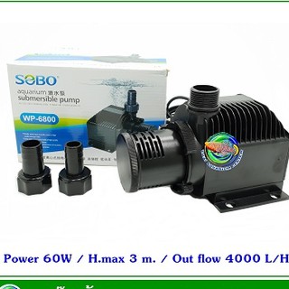 Máy bơm nước hồ cá, thác nước SOBO WP 6800 giá tốt Tháng 07, 2024