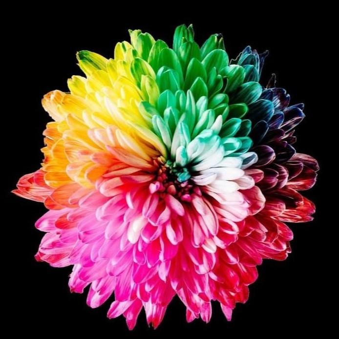 POSEIT Computer And Laptop, Cửa hàng trực tuyến | Shopee Việt Nam