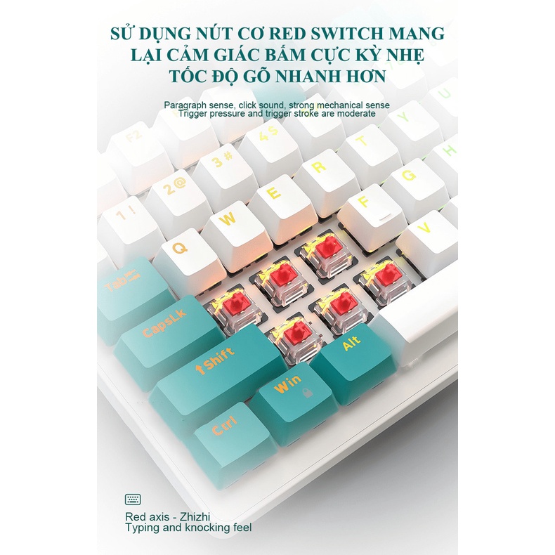 Mua Bàn Phím Cơ Free Wolf K3 - Red Switch, Đèn Led RGB Dành Cho Game ...