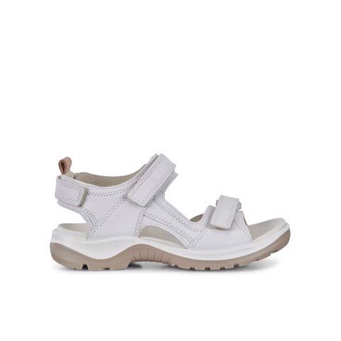 ECCO Vietnam Official - Shopee Mall Online | Shopee Việt Nam