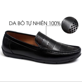 g201 giá tốt Tháng 1, 2023 | Mua ngay | Shopee Việt Nam