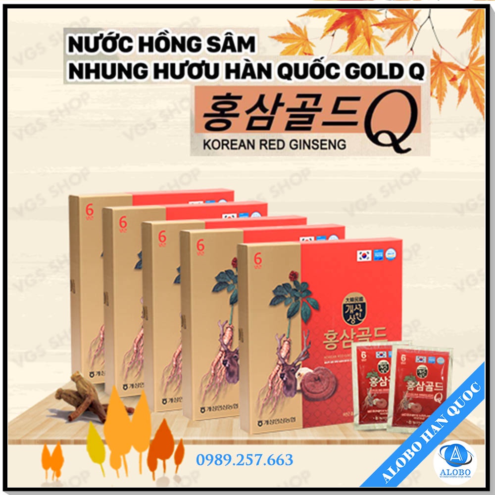 Mua Nước Hồng sâm nhung Hươu Linh chi Hàn Quốc – Red Ginseng Gold Q ...