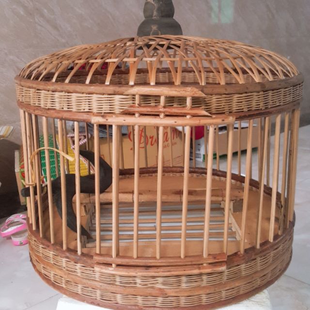 Lồng nuôi chim cu gáy | Shopee Việt Nam