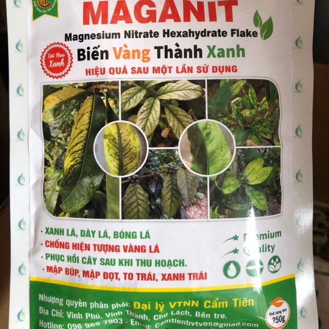 Mua Maganit Biến vàng thành xanh chuyên trị vàng lá thành xanh lá cung ...