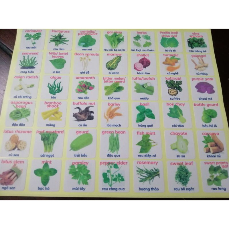 🔥42 hinh dán sticker từ vựng tiếng Anh chủ đề RAU CỦ QUẢ🔥 | HolCim ...
