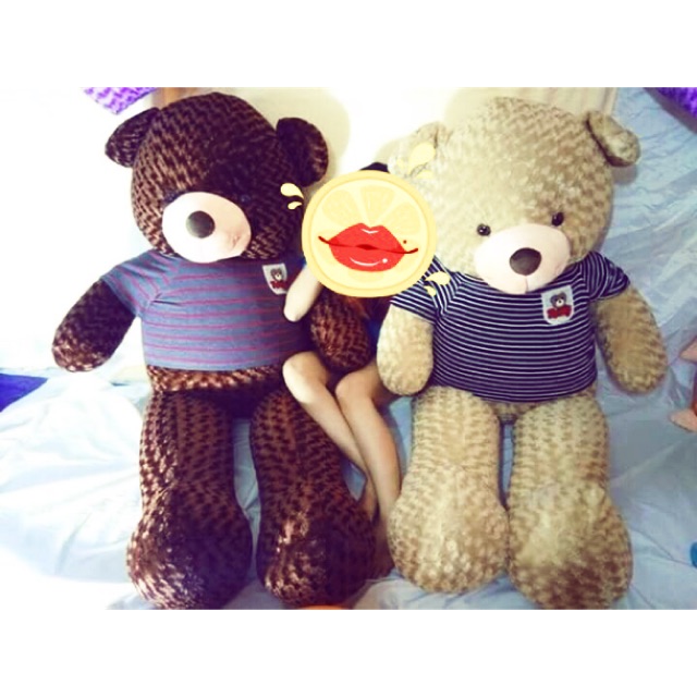 Gấu bông tedy 1m4 | Shopee Việt Nam
