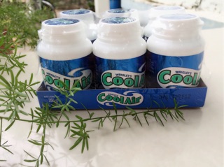 Kẹo Singgum CoolAir - Doublemint | Shopee Việt Nam
