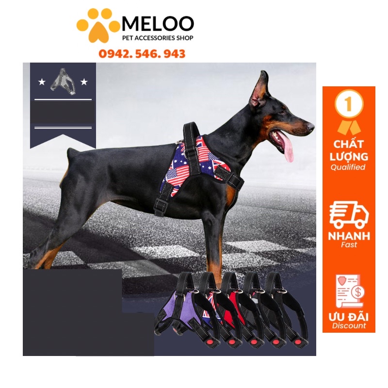 Đai lưng xích chó becgie cao cấp - Đai đeo lưng dây dắt chó béc dê lớn ...