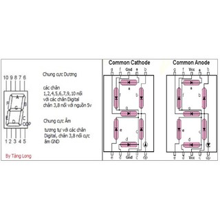 Led 7 đoạn 2 số cathode - anode chung | Shopee Việt Nam