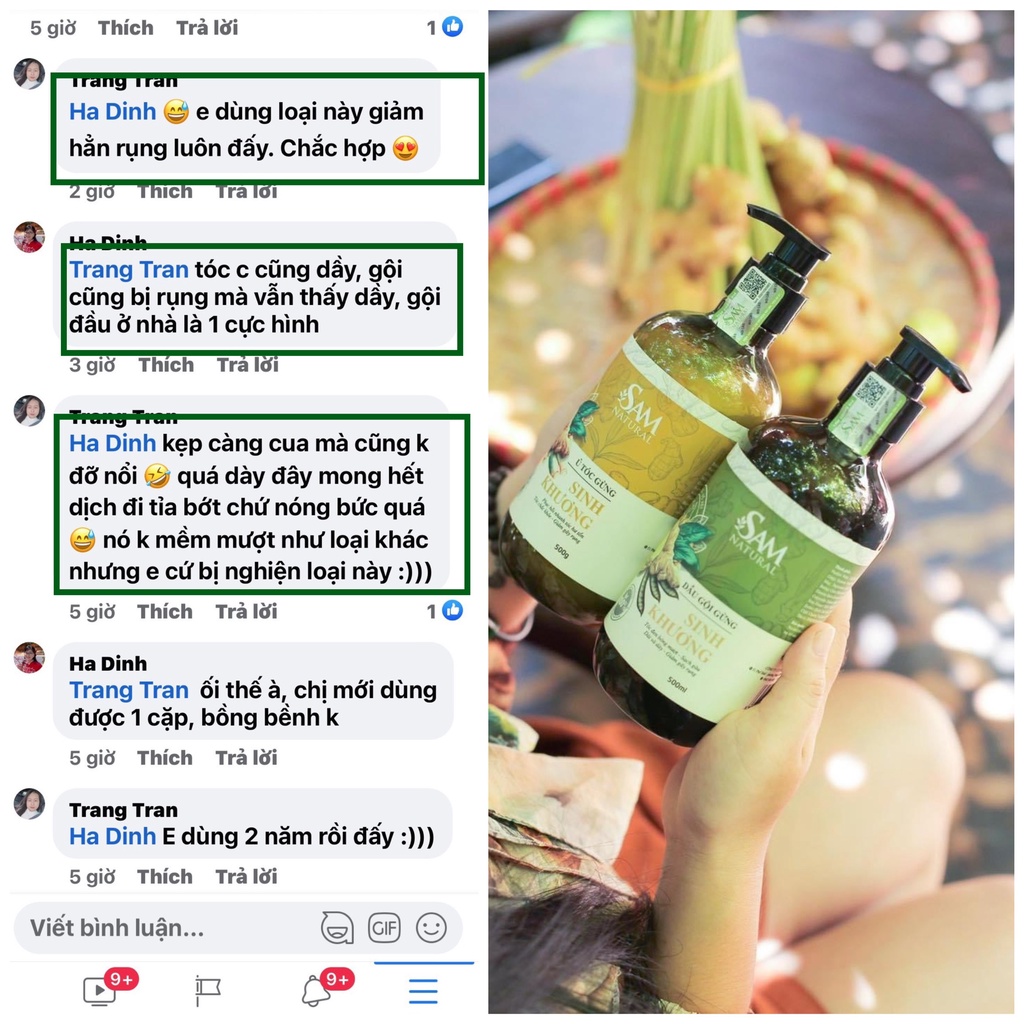 Mua Dầu gội đầu, dầu gội gừng Sinh Khương Sam Natural - Dầu gội mọc tóc ...