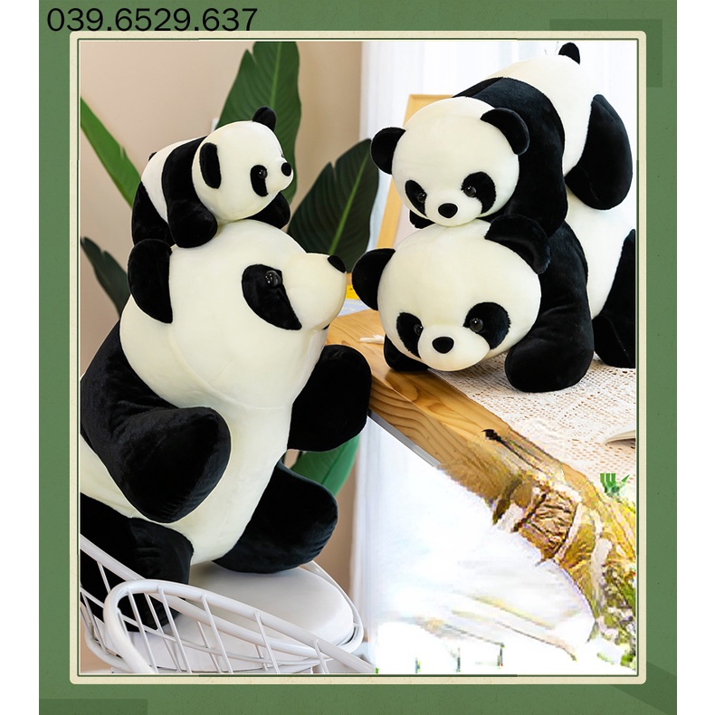 Mua Gấu bông teddy bear gấu trúc Panda, gấu trúc nhồi bông nhập khẩu ...