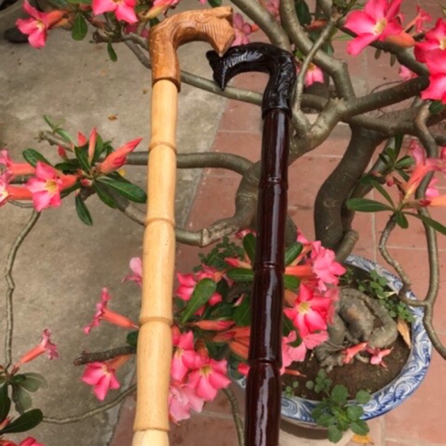 Gậy ba toong cho người già | Shopee Việt Nam