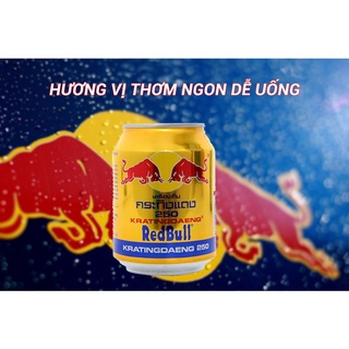 Lốc 6 Lon Red Bull Energy Drink Loại Việt Nam Nước Tăng Lực Bò Cụng Lon ...