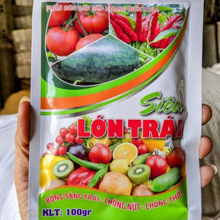 Mua Phân bón Siêu lớn trái 100g. Chống nứt, chống thối, chống rụng quả ...