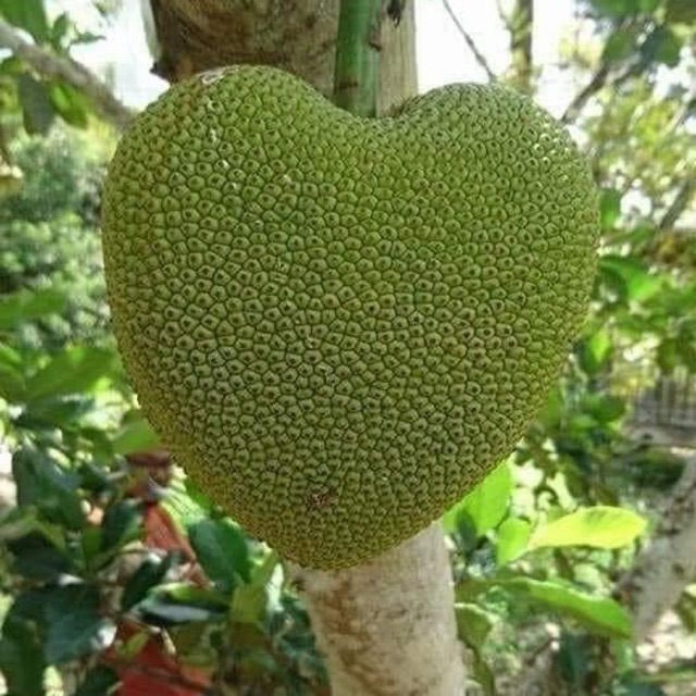 cathy vo, Cửa hàng trực tuyến | Shopee Việt Nam