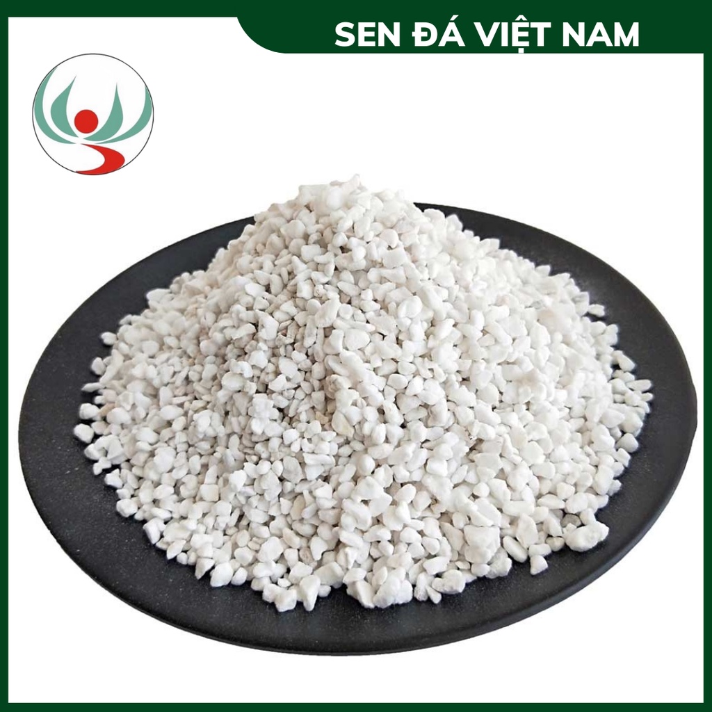 Đá perlite - xốp nhẹ Trộn đất trồng cây sương rồng sen đá ️ Gói 100 ...