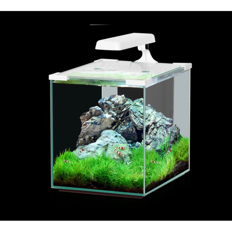 Bể cubic 25 | Shopee Việt Nam