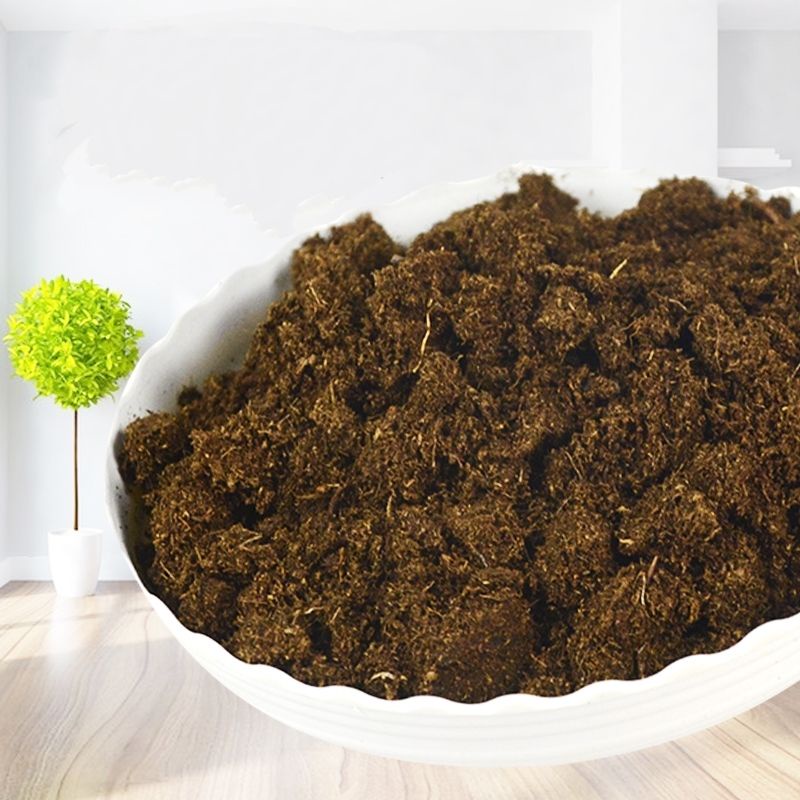 Mua Than Bùn Rêu Peat Moss Premium Chiết Từ Peatman - Giá Thể Peatmoss ...