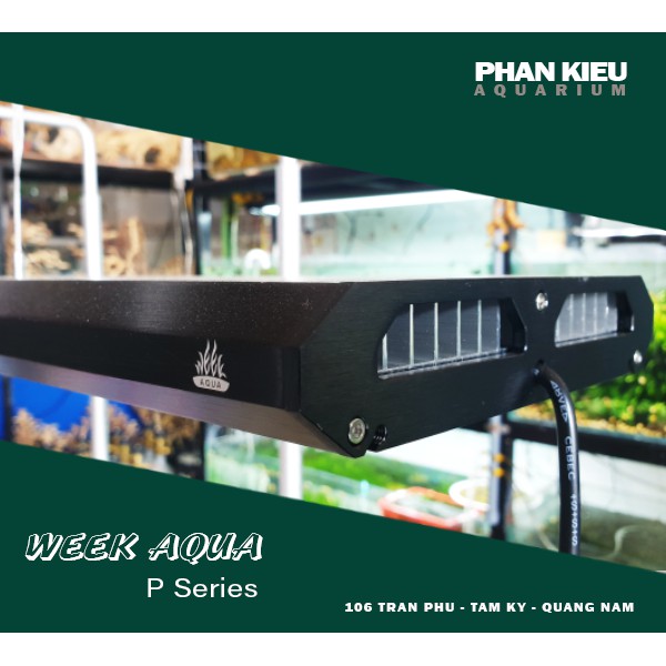 Mua Đèn Week aqua P Pro - Chỉnh APP, Led RGB-UV cao cấp giá rẻ nhất ...