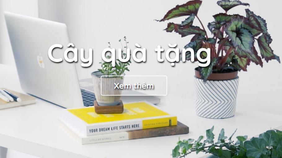 MIN GARDERN_CÂY XANH VĂN PHÒNG, Cửa hàng trực tuyến | Shopee Việt Nam