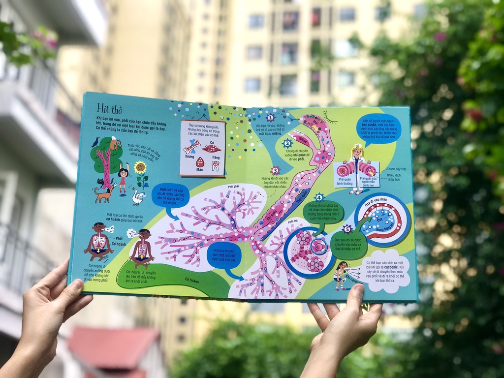 SÁCH - Big Book - Cuốn sách khổng lồ ( NHIỀU CHỦ ĐỀ ) | Shopee Việt Nam