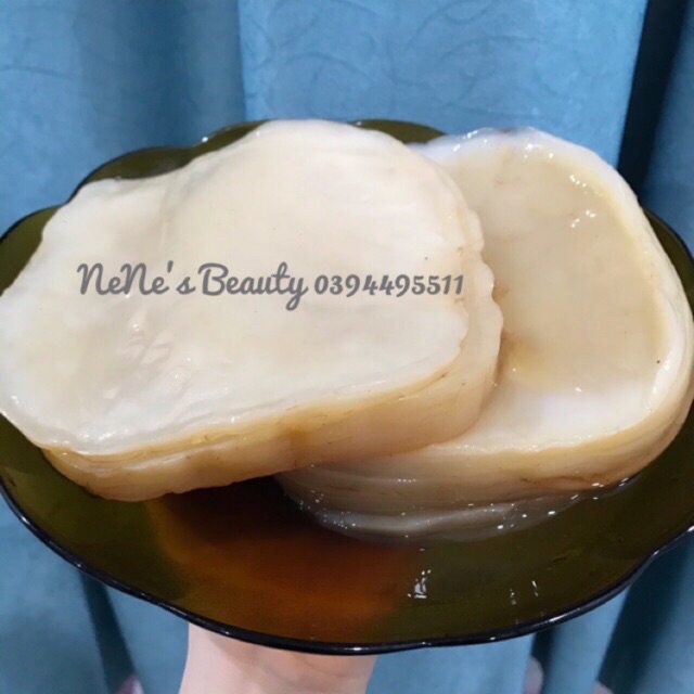 Con men Scoby và nước mồi làm trà Kombucha (NGUYÊN LIỆU 100% HỮU CƠ ...